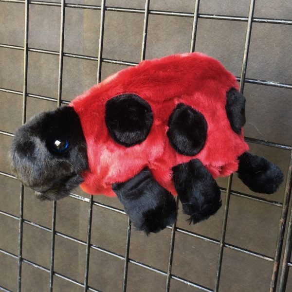 Ladybug Puppet | Lucy's Toys