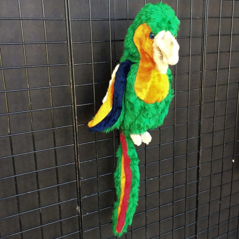 Parrot Puppet | Lucy's Toys