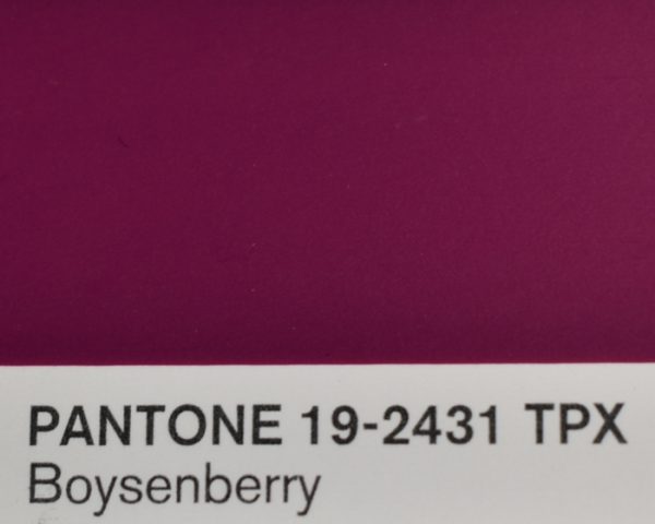 Color Palette | Lucy's Toys